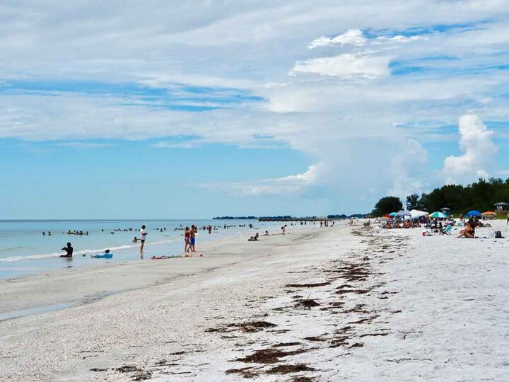 Visit the Bradenton Area: Anna Maria Island and Longboat Key, “Real ...