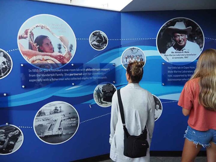 Indoor Oceans: Mote Marine Laboratory and Aquarium - Tropical Travel Girl